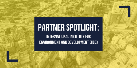 Partner Spotlight: International Institute for Environment and ...