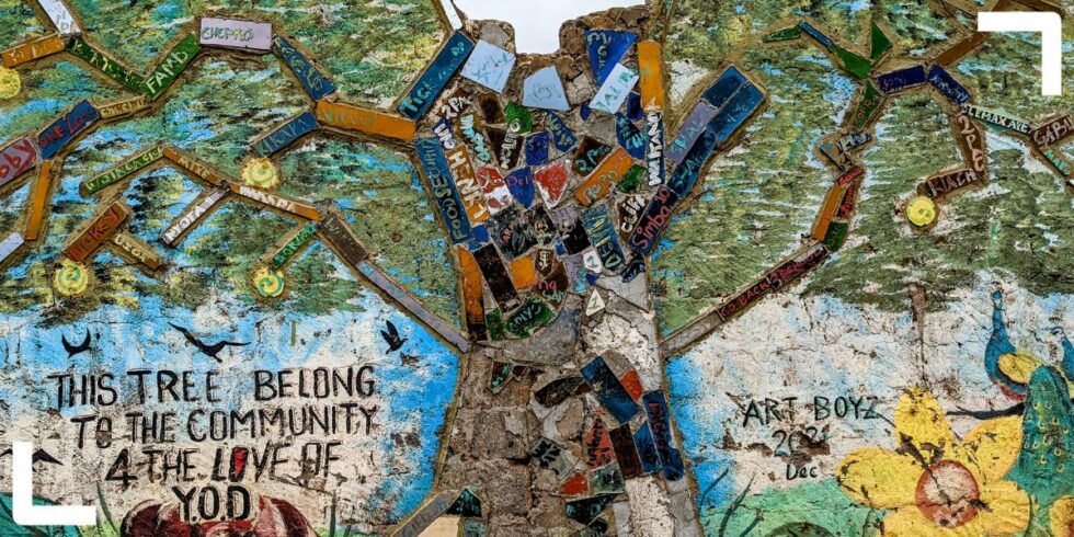 Building inclusive urban reform coalitions: A conversation with Diana ...