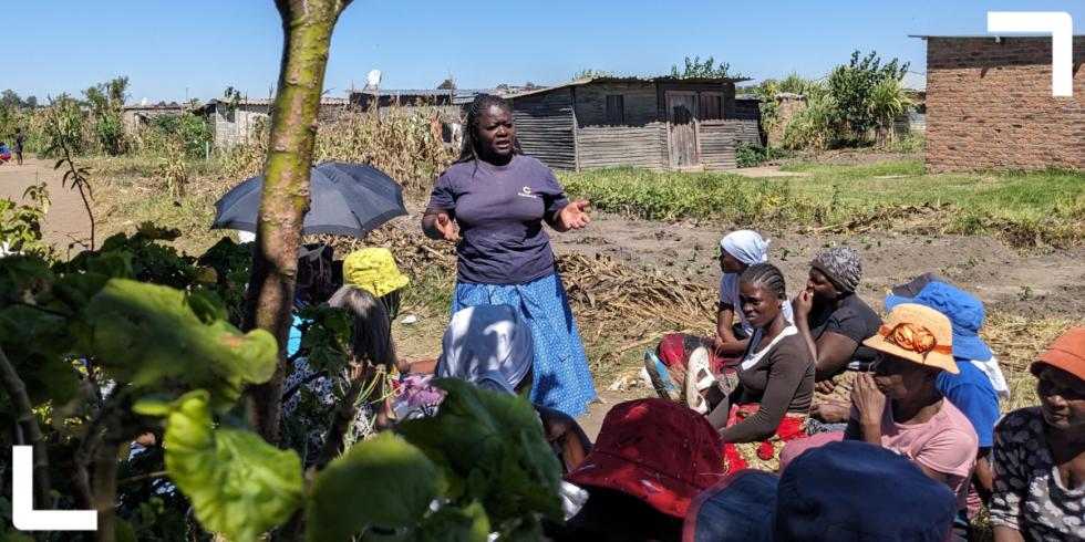 New special issue: The contribution of urban reform coalitions to inclusive and equitable cities ...